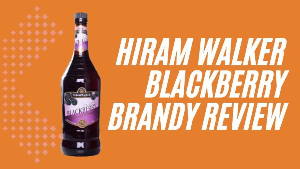 Hiram Walker Blackberry Brandy Reviews: An In-Depth Look