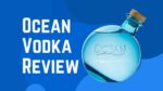 Ocean Vodka Review: A Premium Spirit Worth Diving Into?